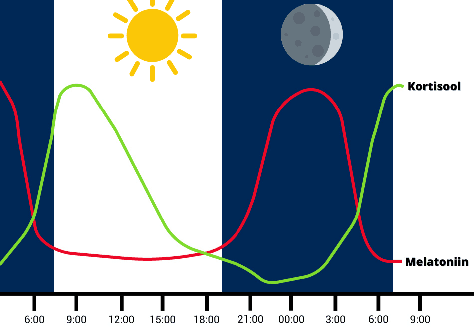 Kuidas kofeiin kohvis mõjutab keha ja enesetunnet